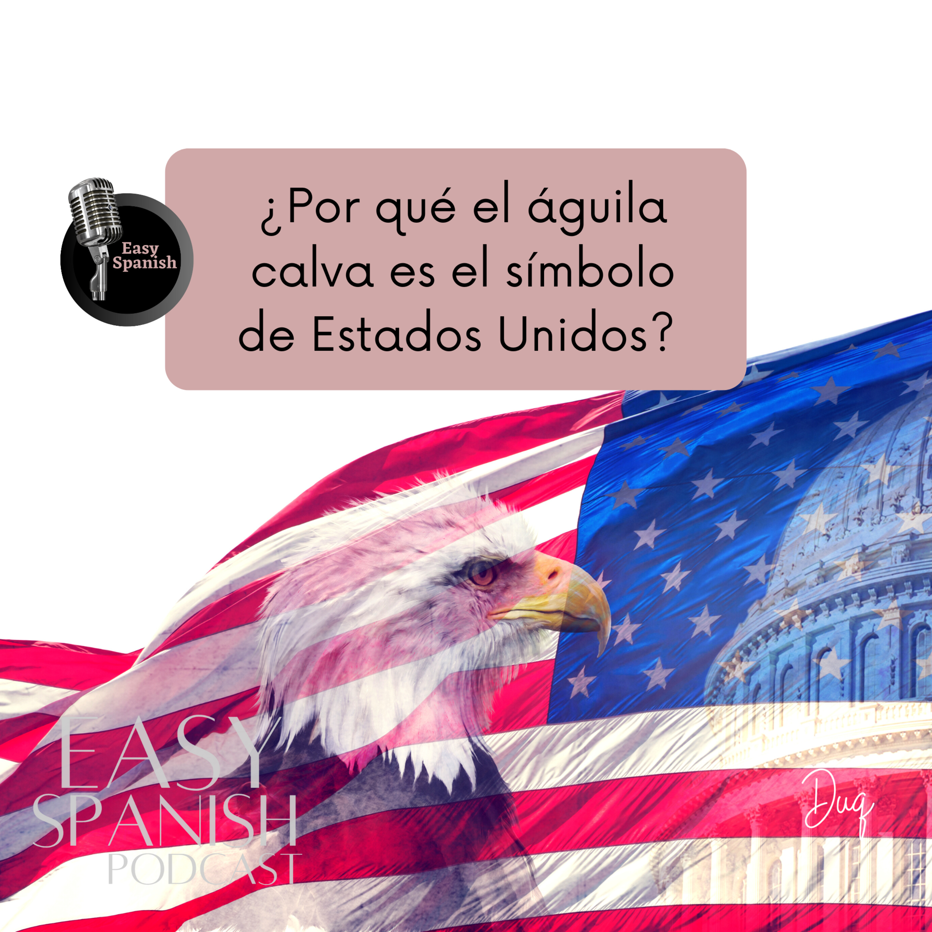 157 ¿Por qué el águila calva es el símbolo de Estados Unidos? - Easy ...