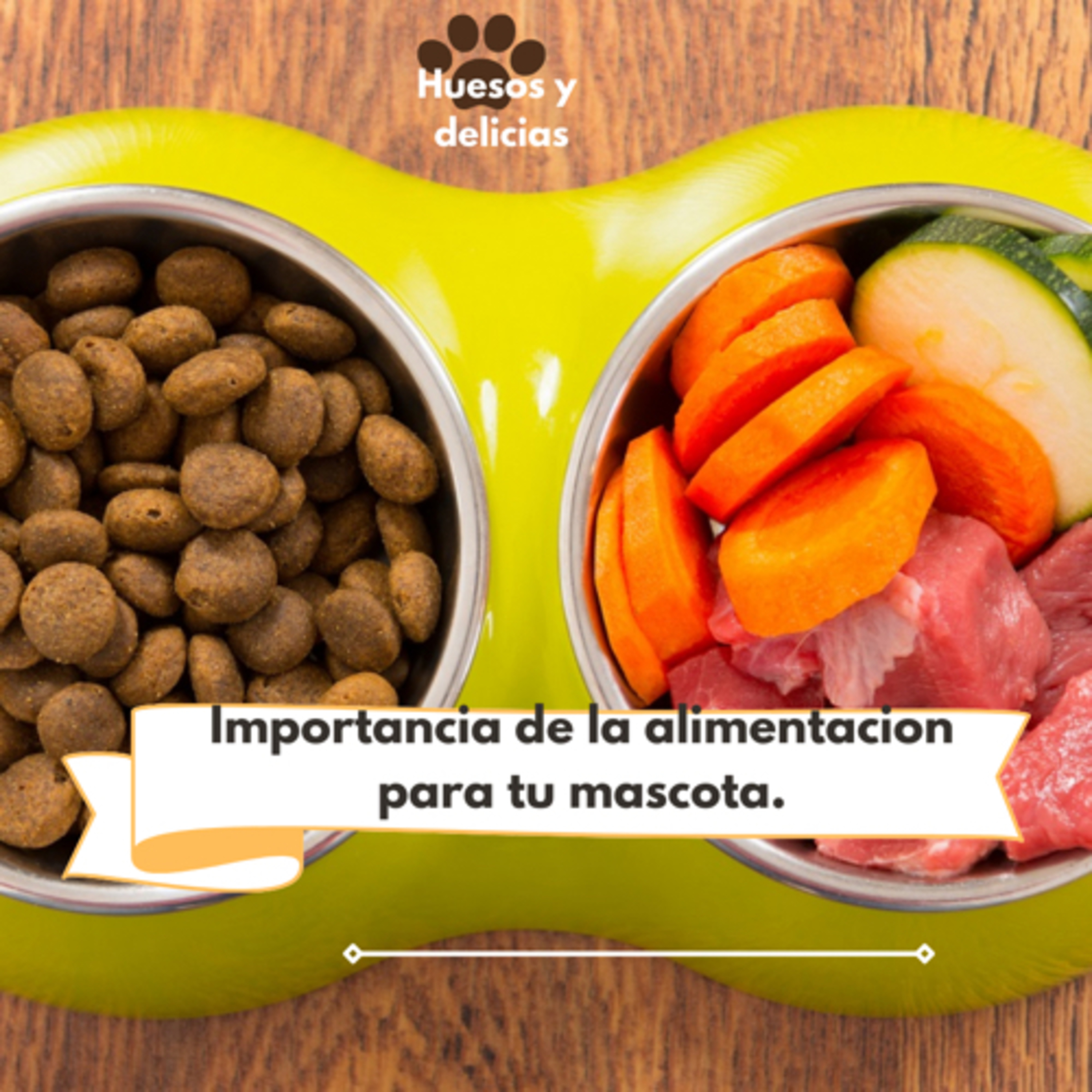 Importancia de la alimentación para tu mascota. by La importancia de la ...