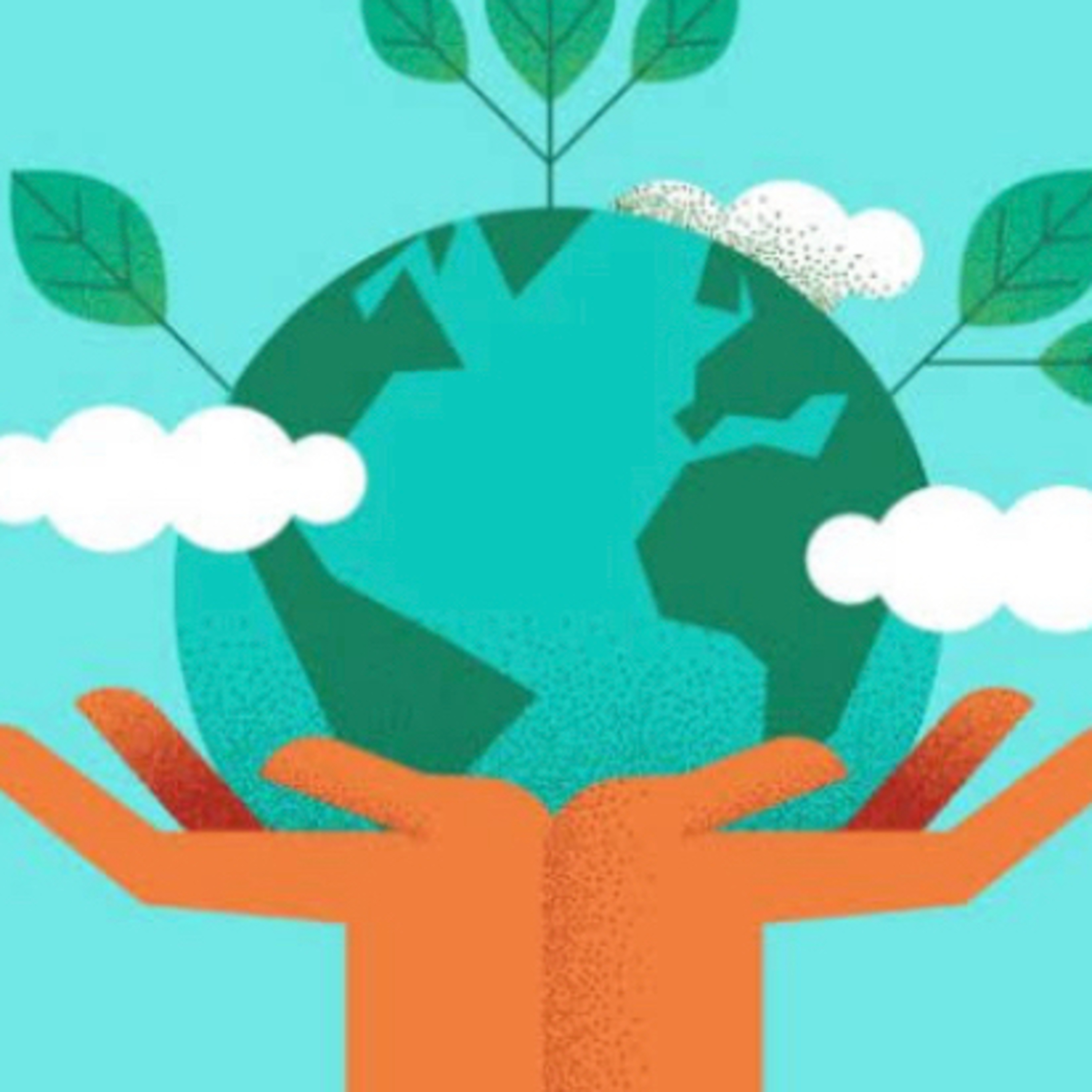 Factores bióticos y abióticos del medio ambiente by COMPONENTES DEL ...