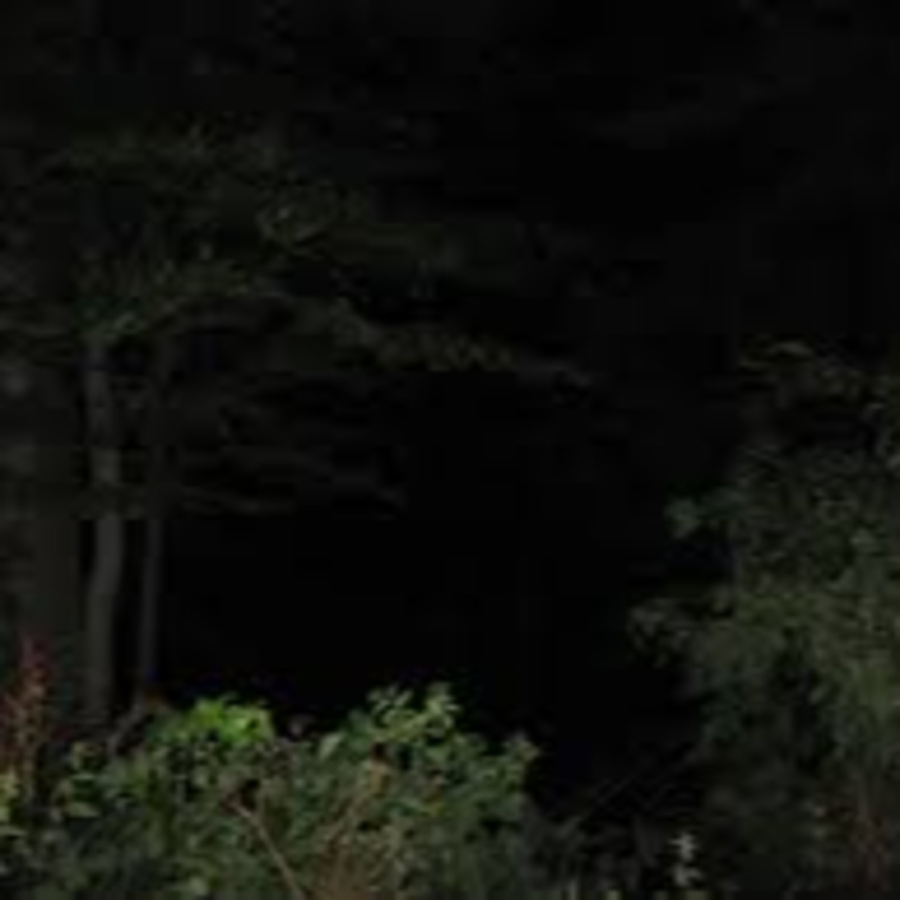 Level Negative Four Explained The Traveler's Guide To The Backrooms ...