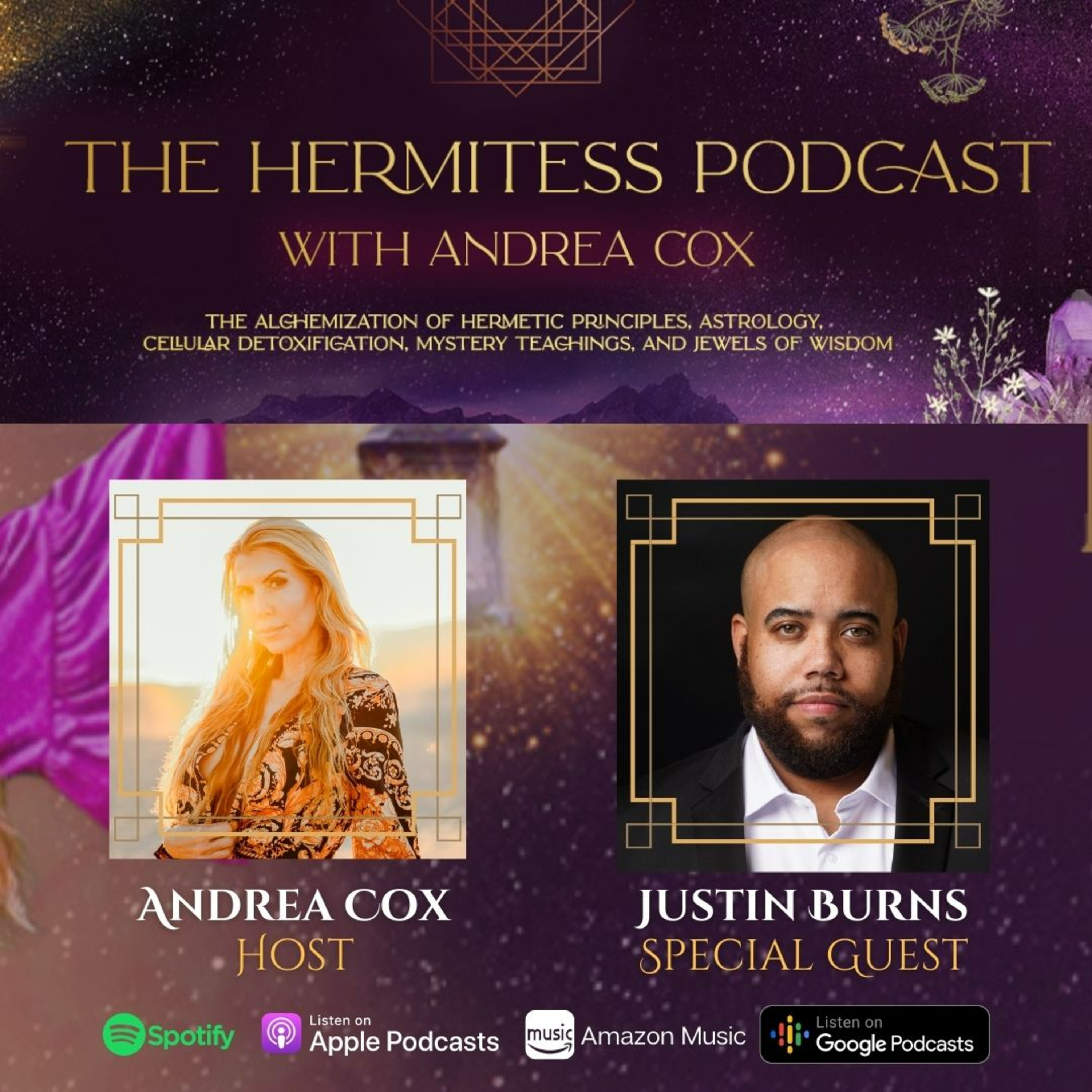 Andrea Cox Interviews CEO Justin Burns - Owner of the Internet Marketing Company "Miestro" – The ...