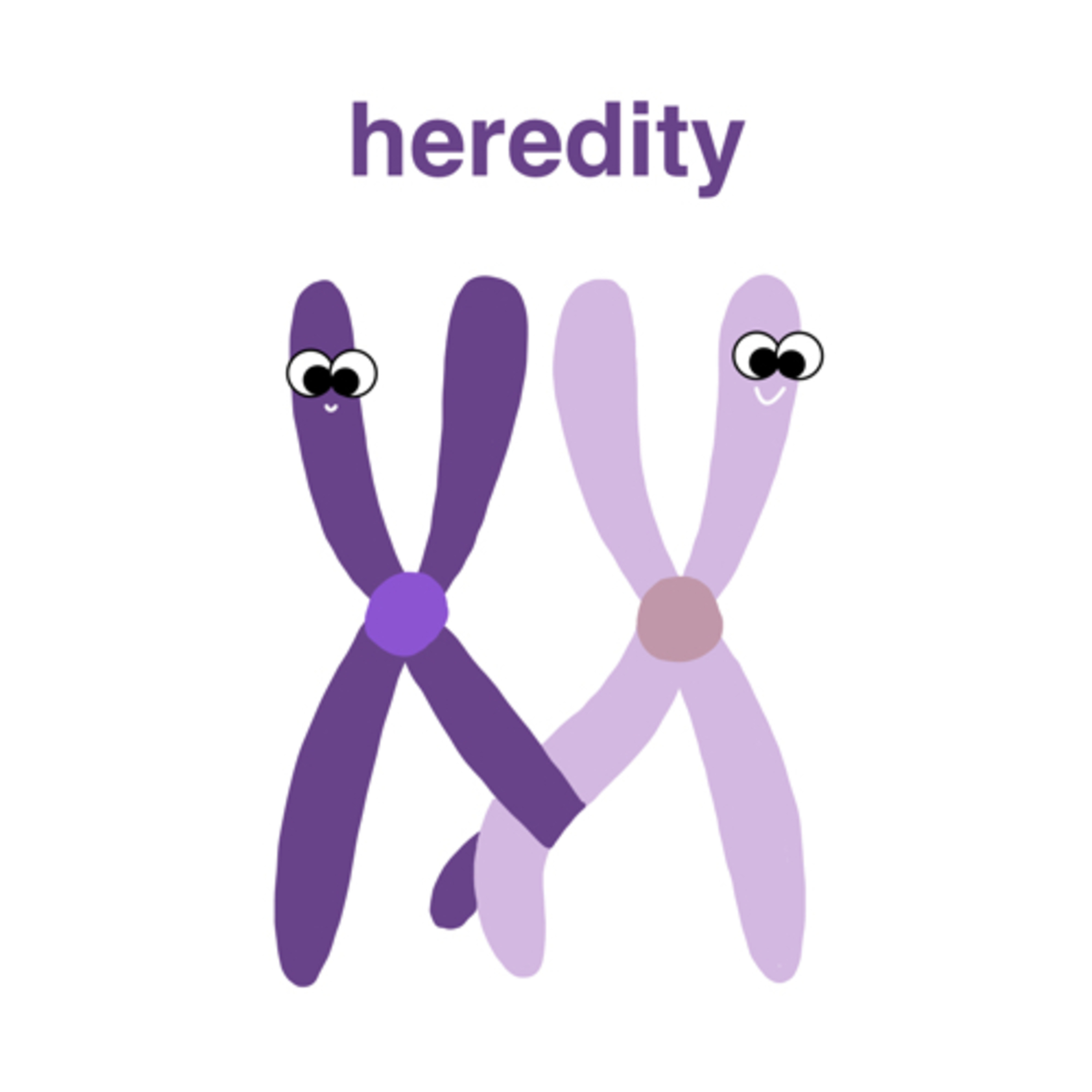 unit 5: heredity by making it basic: a biology review | Podchaser