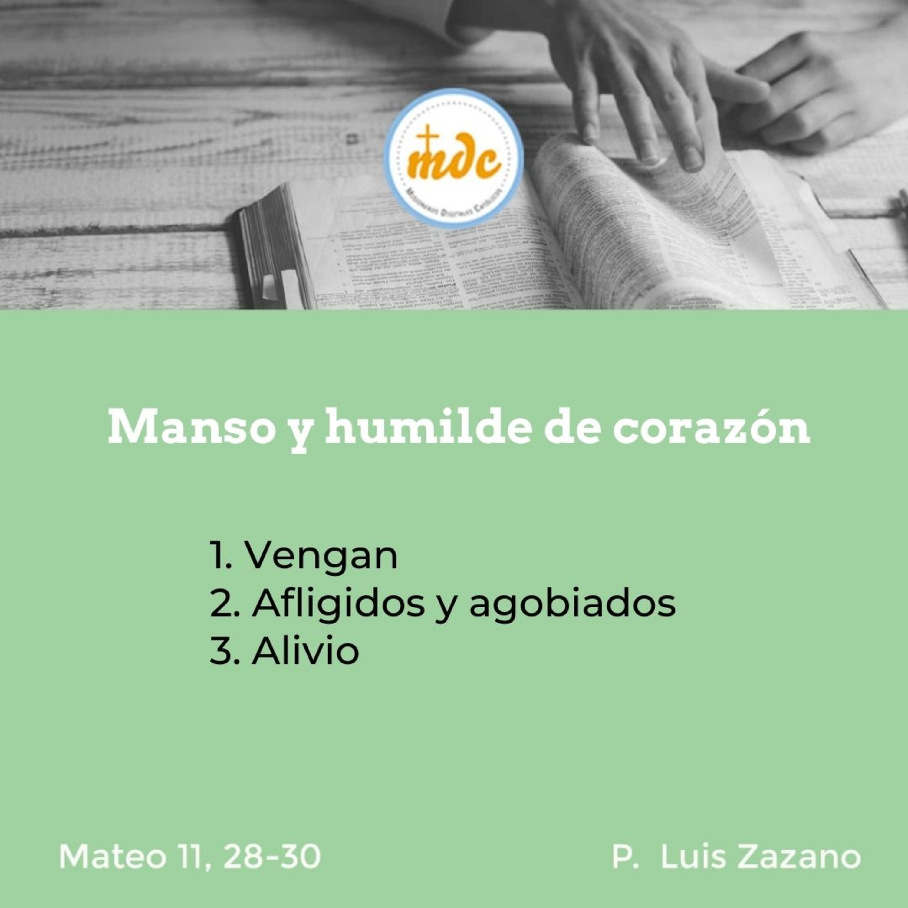 Mateo 11, 28-30 – Reflexión diaria del Evangelio por el P. Luis Zazano ...