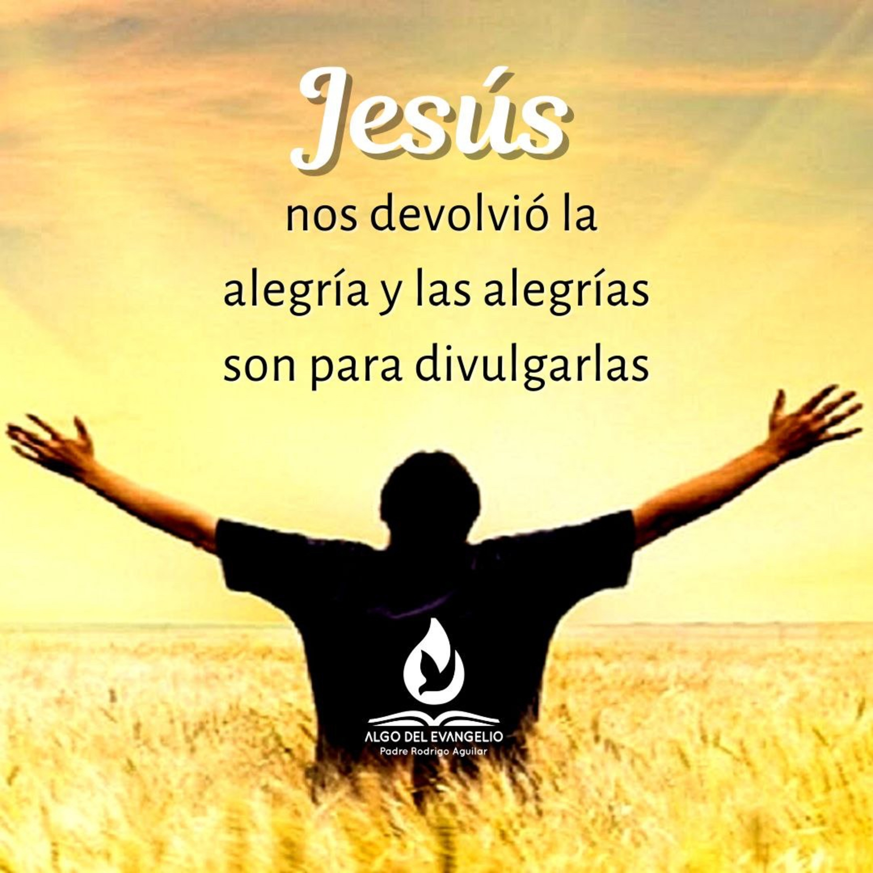 Marcos 1, 40-45 - I Jueves del Tiempo Ordinario – Algo del Evangelio ...