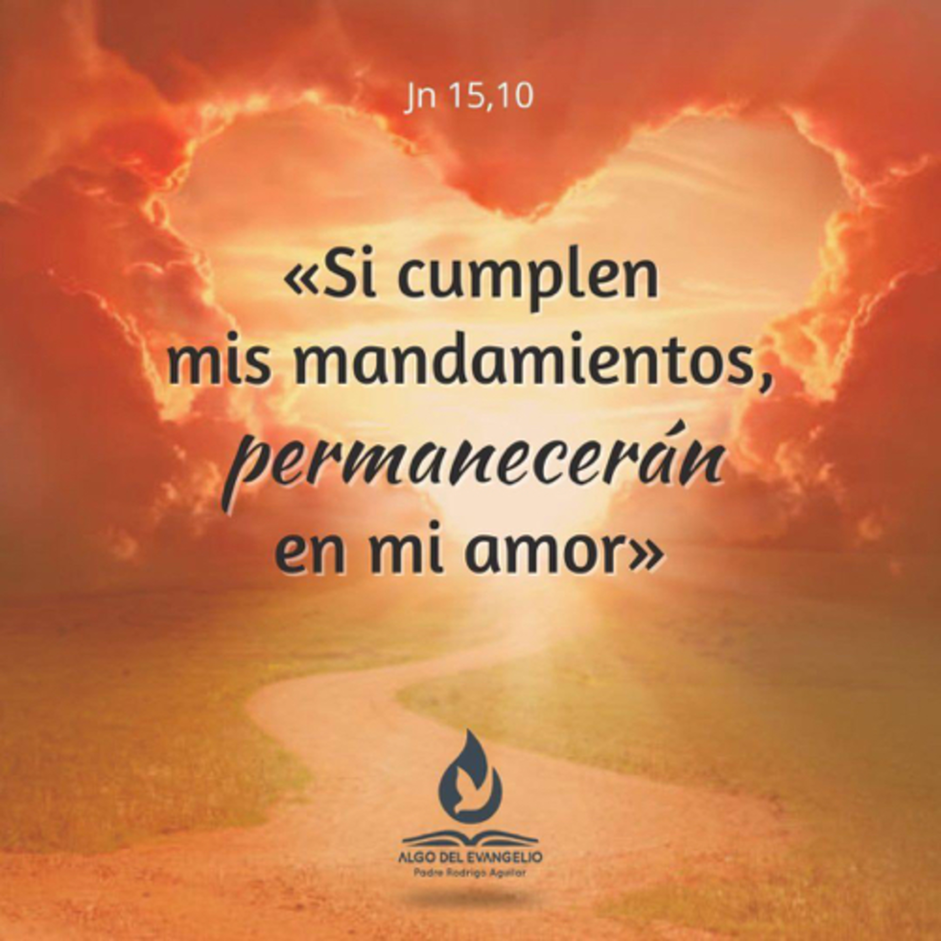 Juan 15, 9-11 - V Jueves de Pascua – Algo del Evangelio - Padre Rodrigo ...