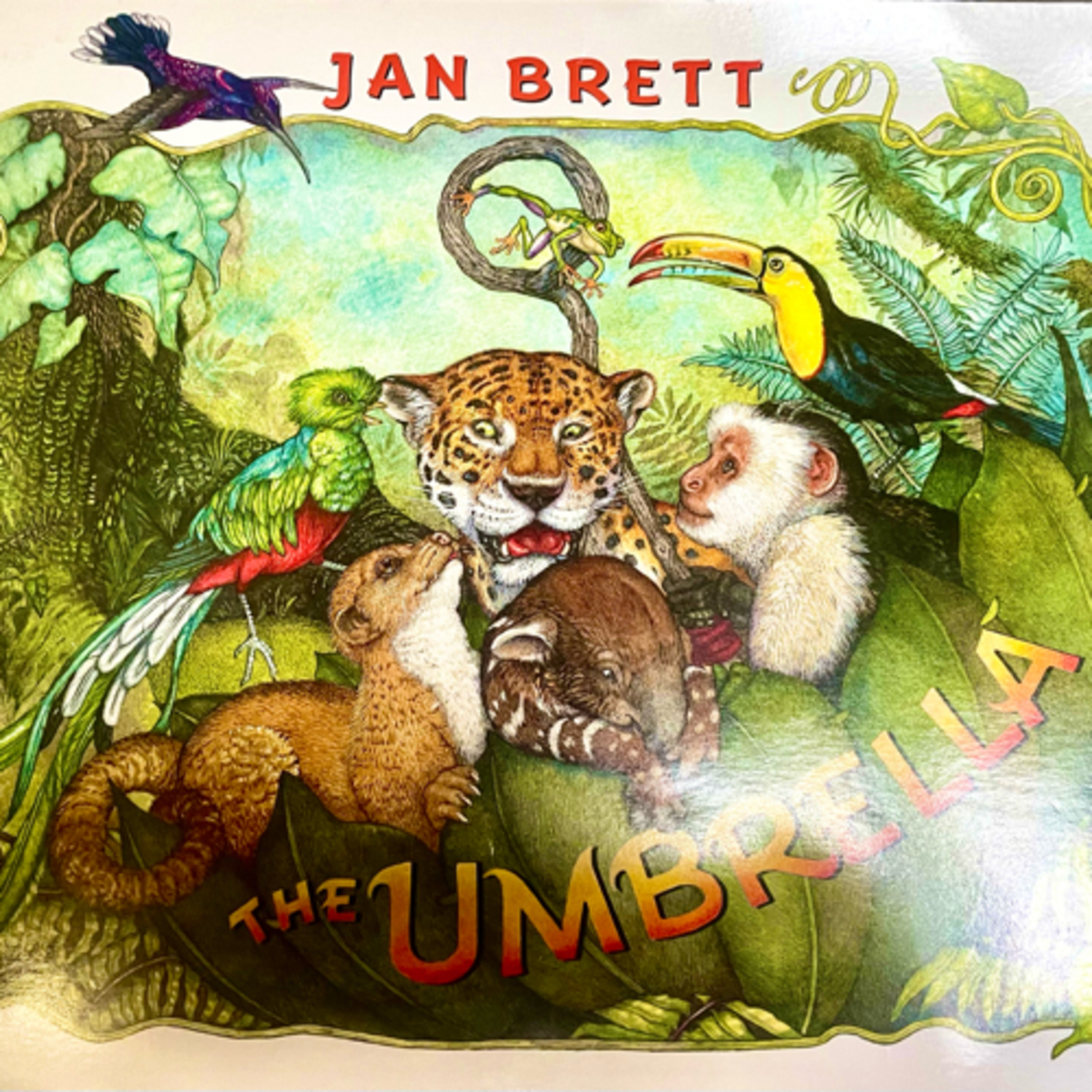 The Umbrella - by Jan Brett – Sloths Love to Read: Read-Aloud Books for ...