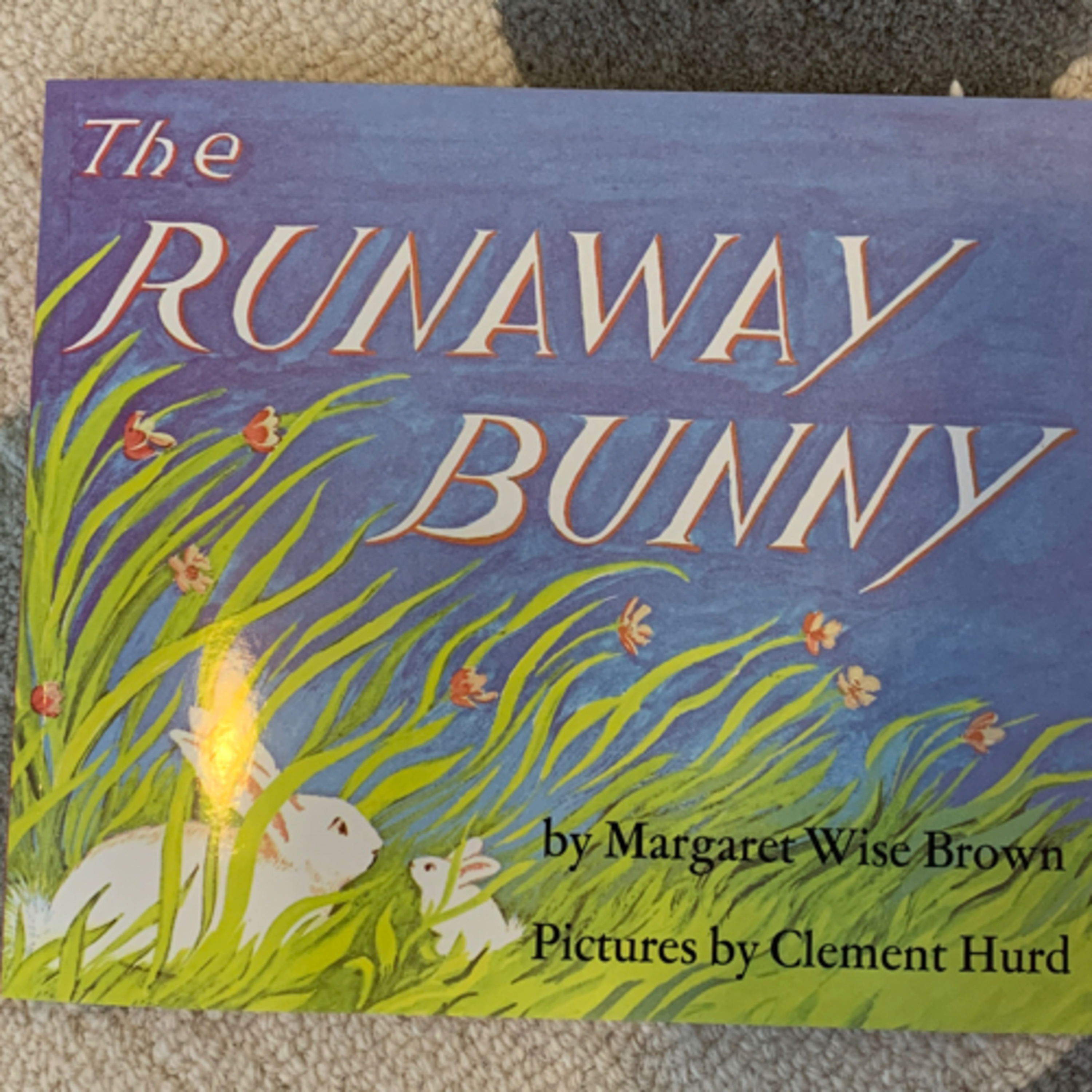 The Runaway Bunny by Margaret Wise Brown – Books for Baby: Read Aloud ...