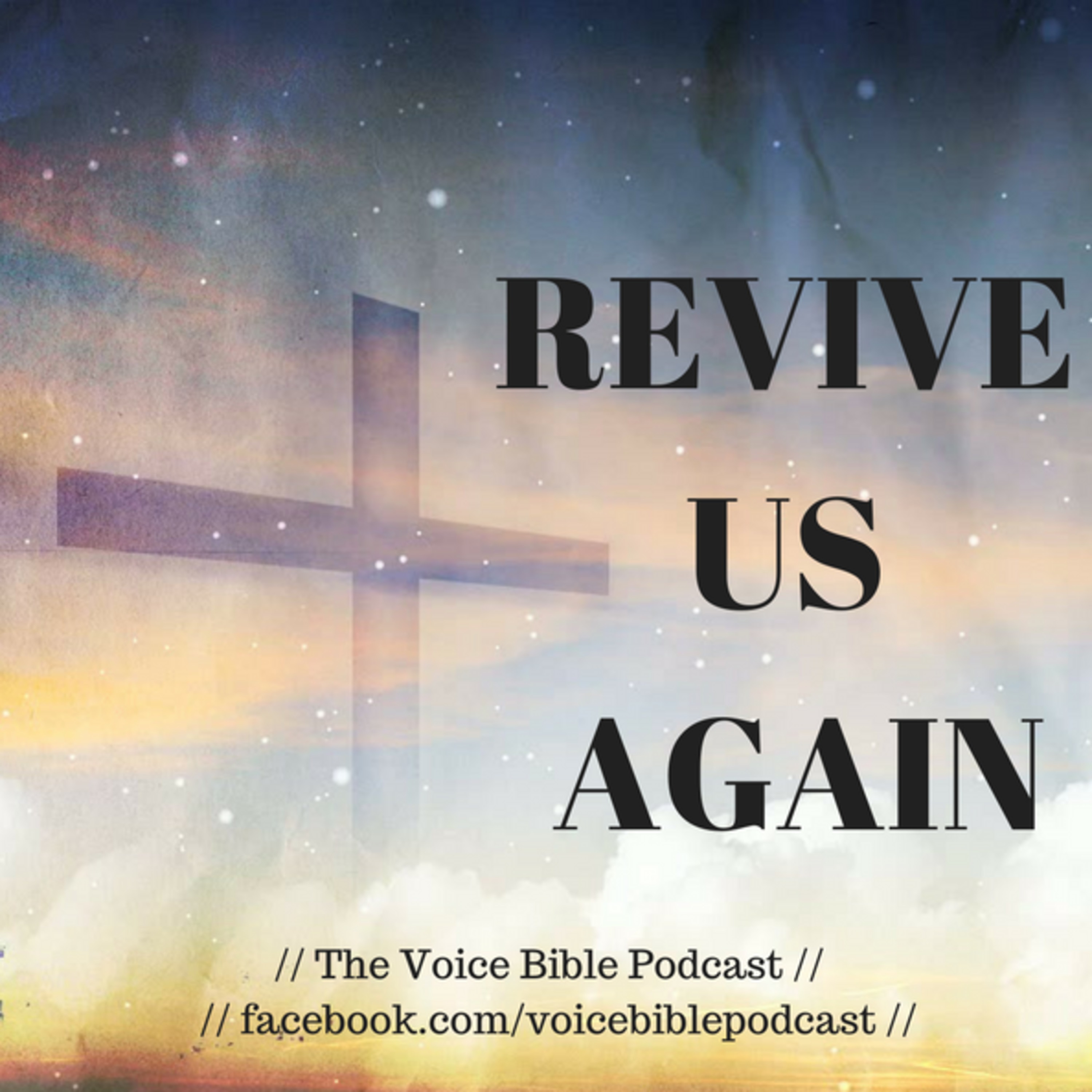 The Voice Bible Podcast • A podcast on Spotify for Podcasters