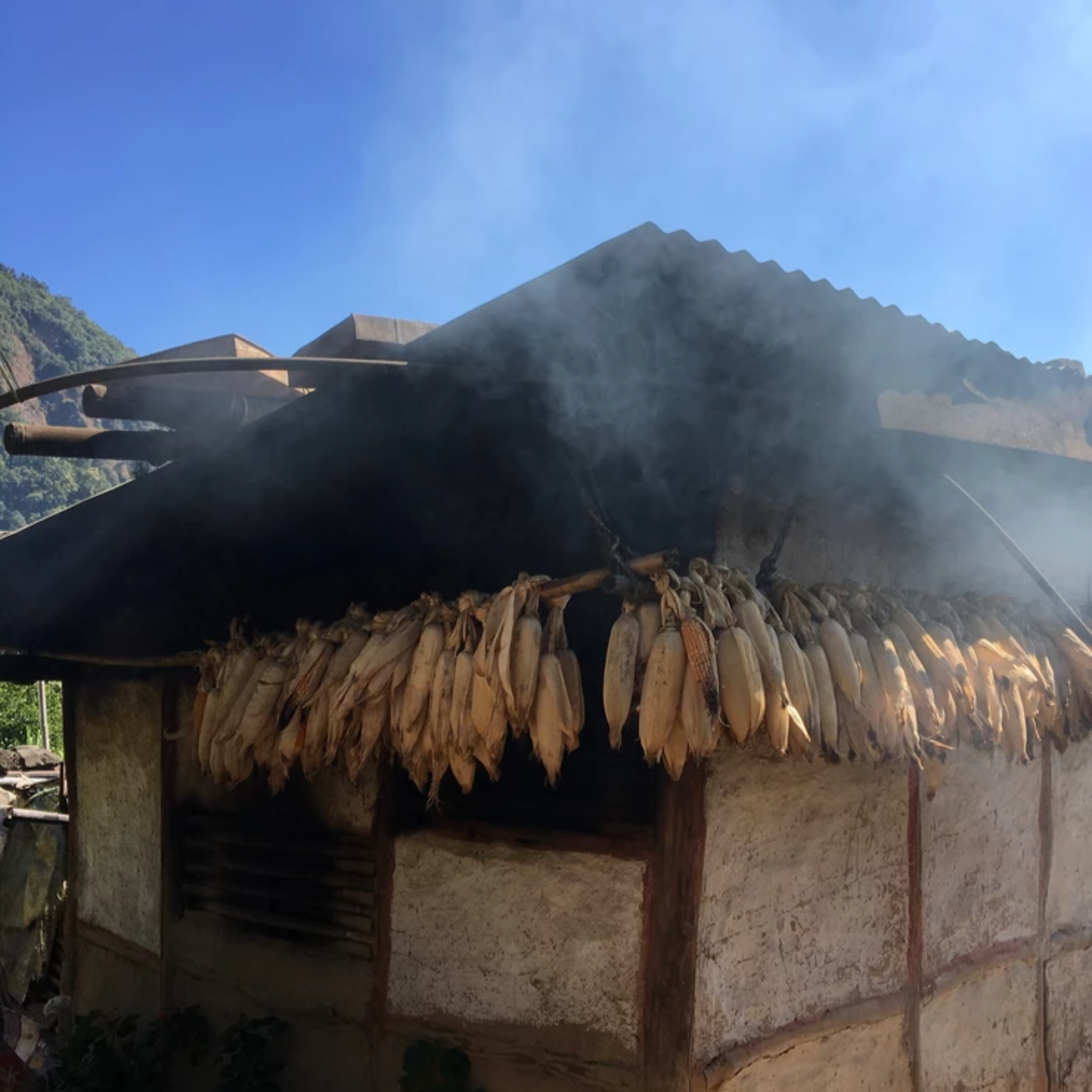 Podcast Ep 2 Bhujel Language Revitalization: A Conversation with Bishnu ...