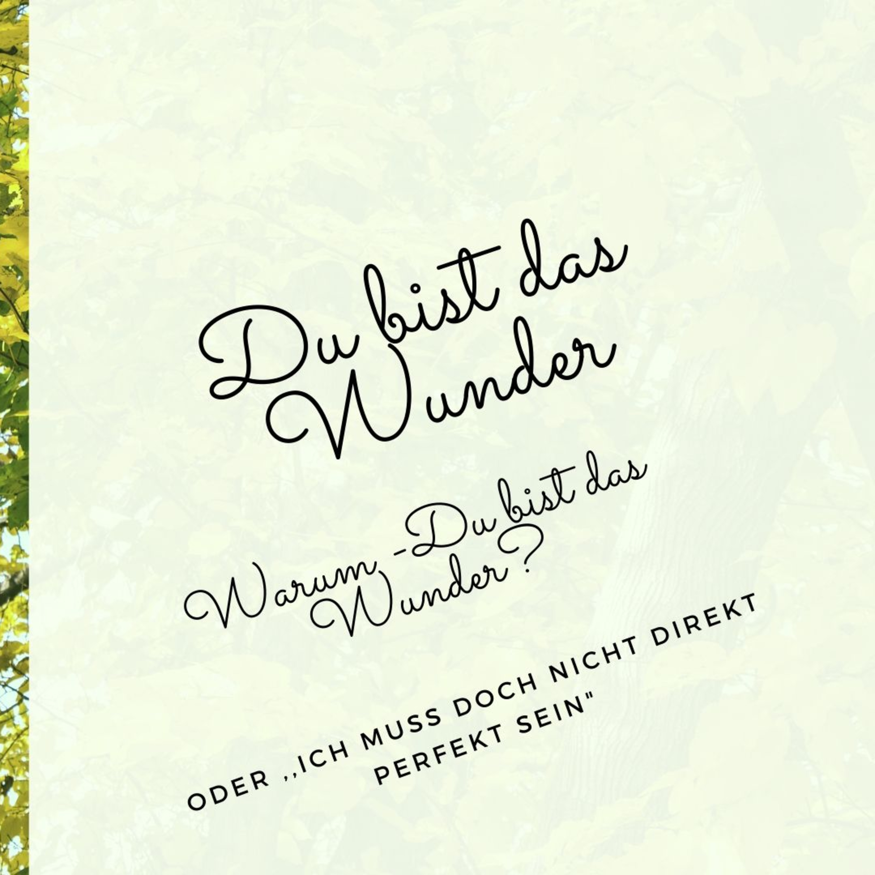 02 Warum-Du bist das Wunder oder ,,Ich muß doch nicht direkt Perfekt ...