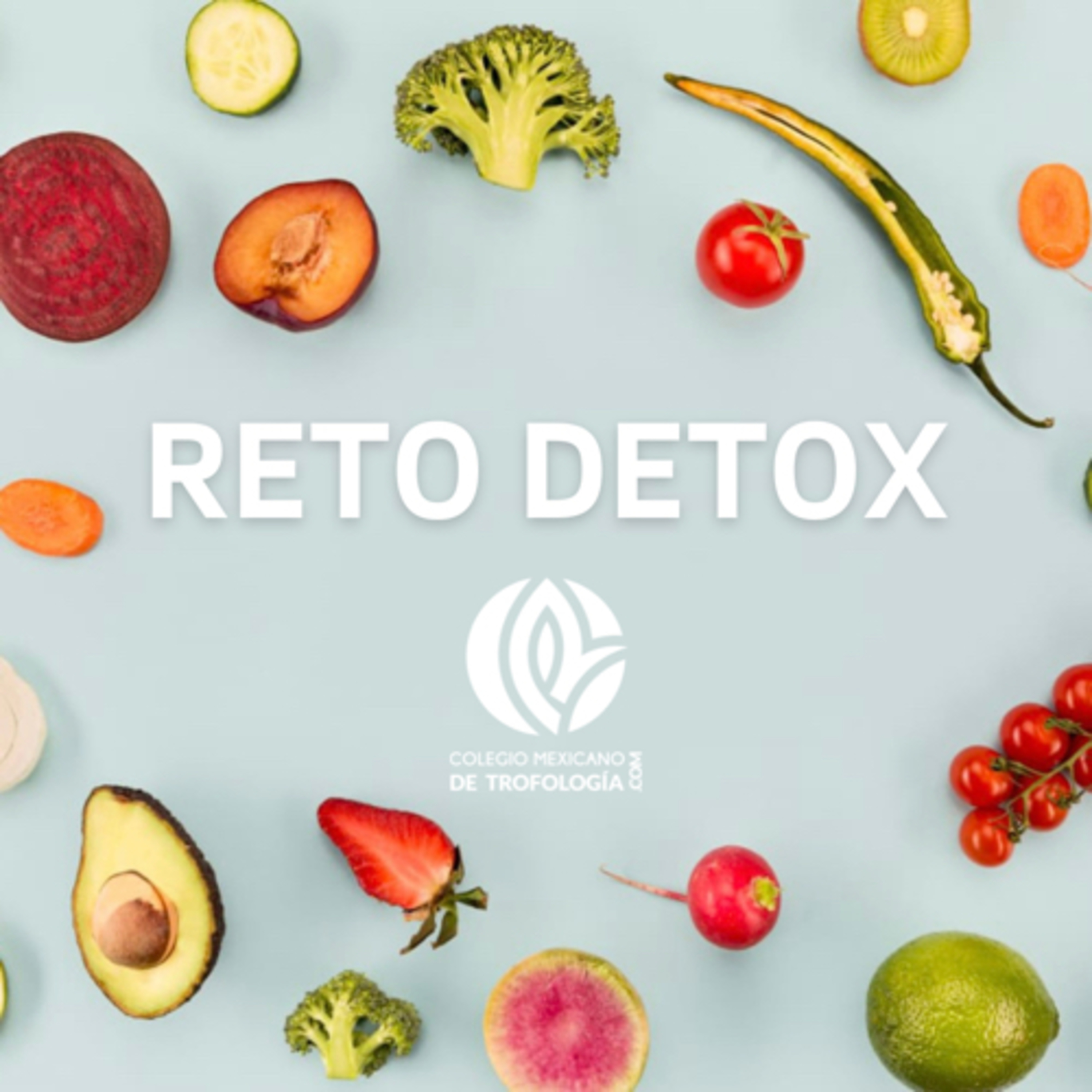 PAISAJE Y MASAJE SONORO. Sonidos del bosque. – Colegio Mexicano de ...