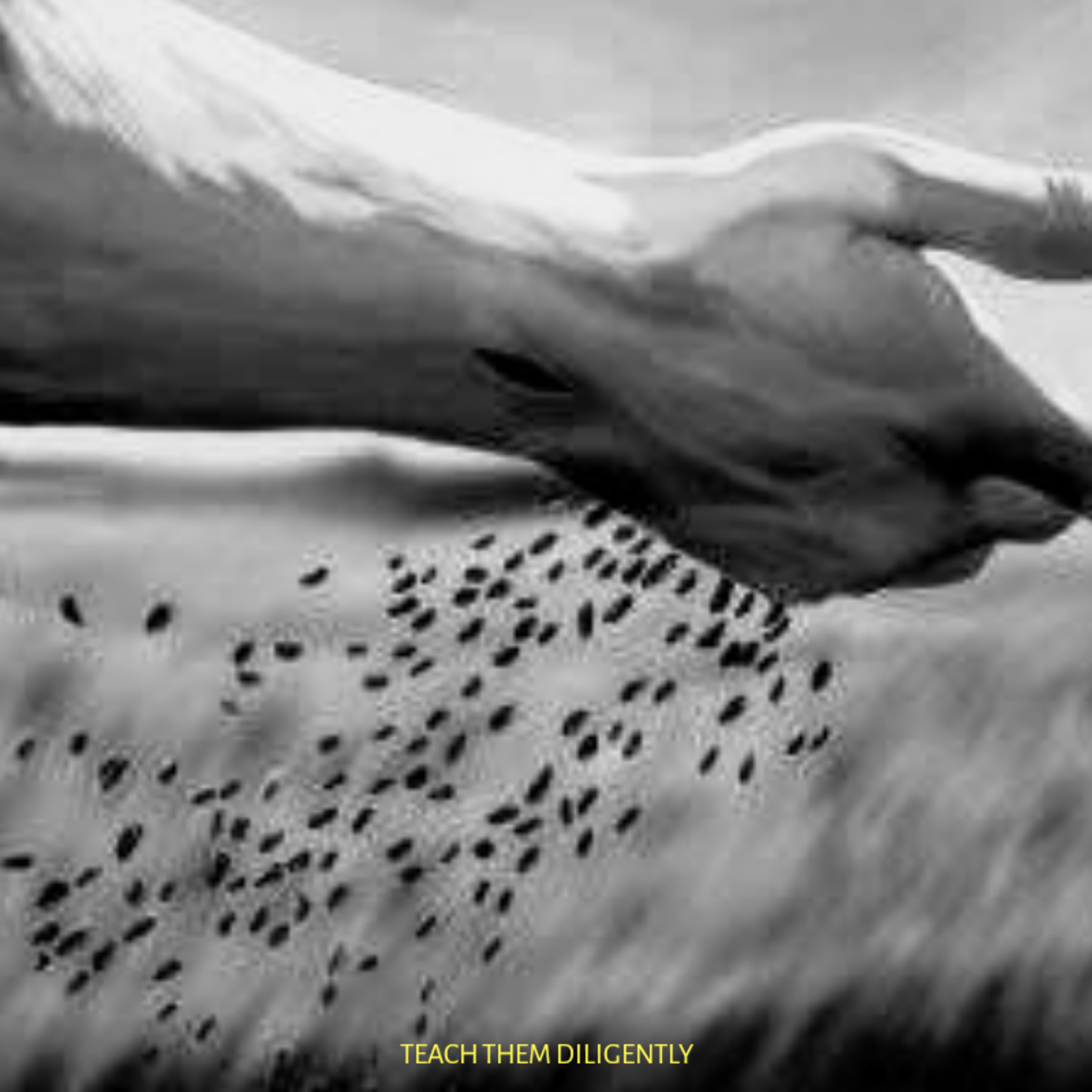 Jesus the Master Teacher: Sow the Seed by Teach Them Diligently-A Study ...