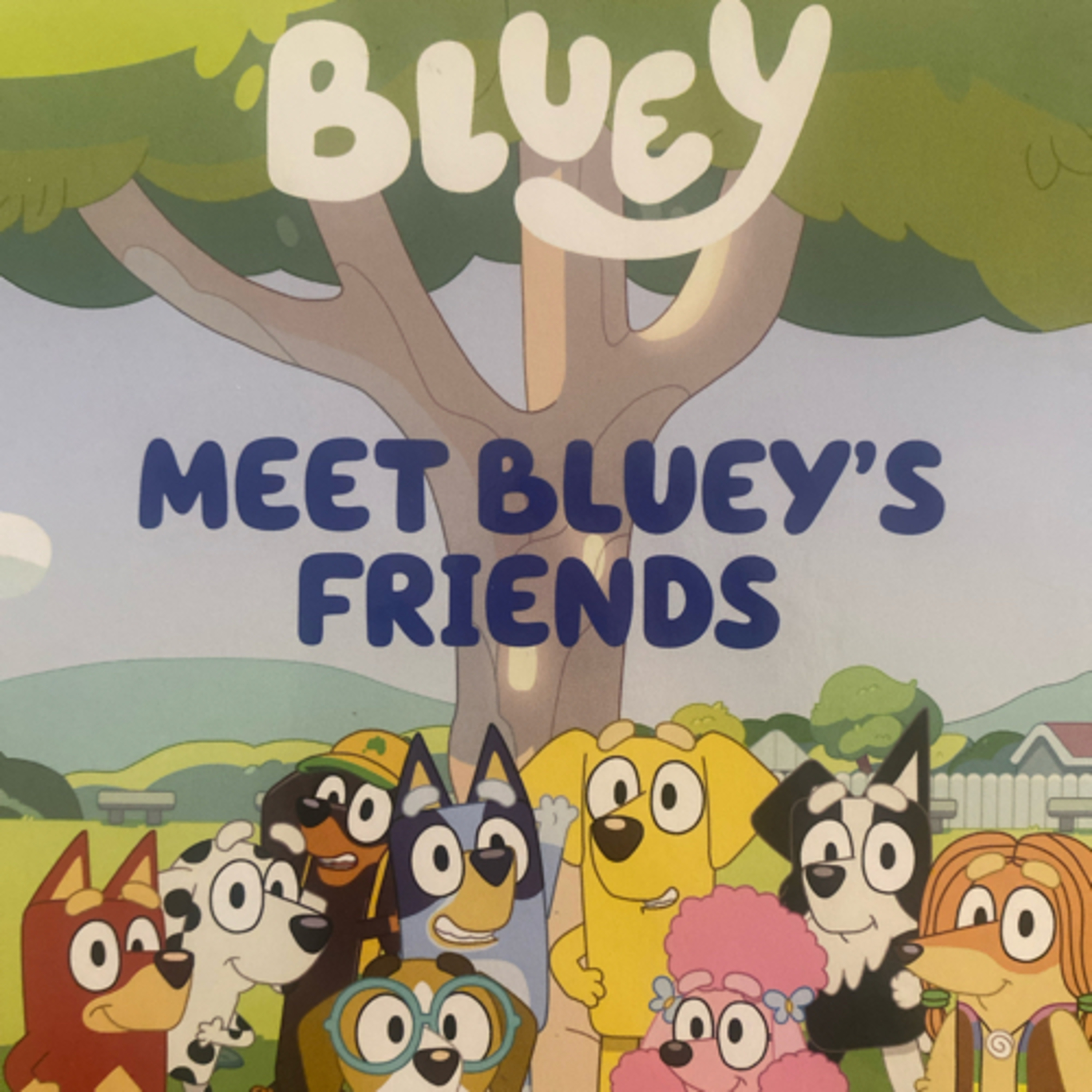 Bluey Meet Bluey’s Friends – Story time with Philip and Mommy ...