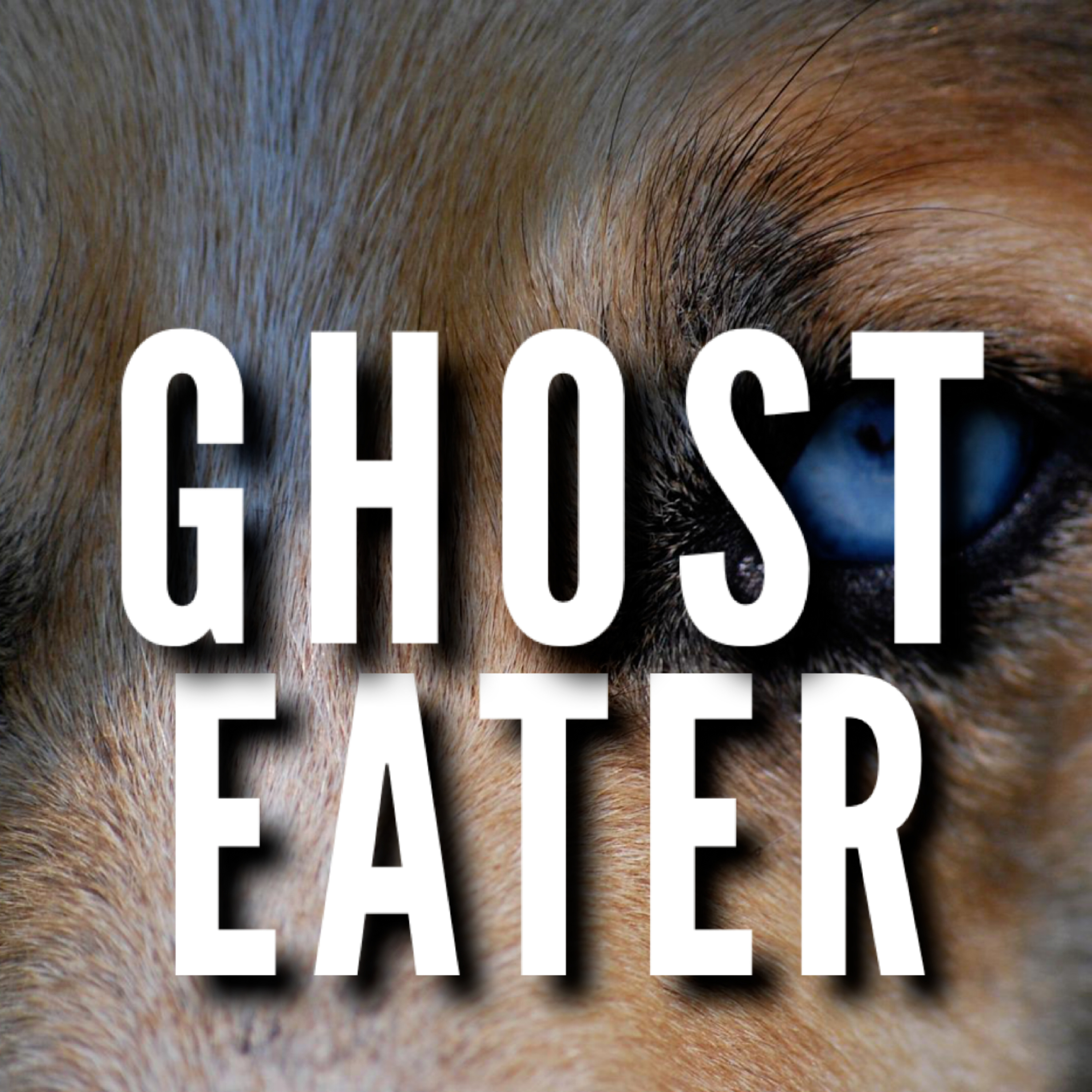 HP LOVECRAFT'S The Ghost Eater - ASMR for Chronic Pain, Insomnia, & PTSD – Lovecraft ASMR ...