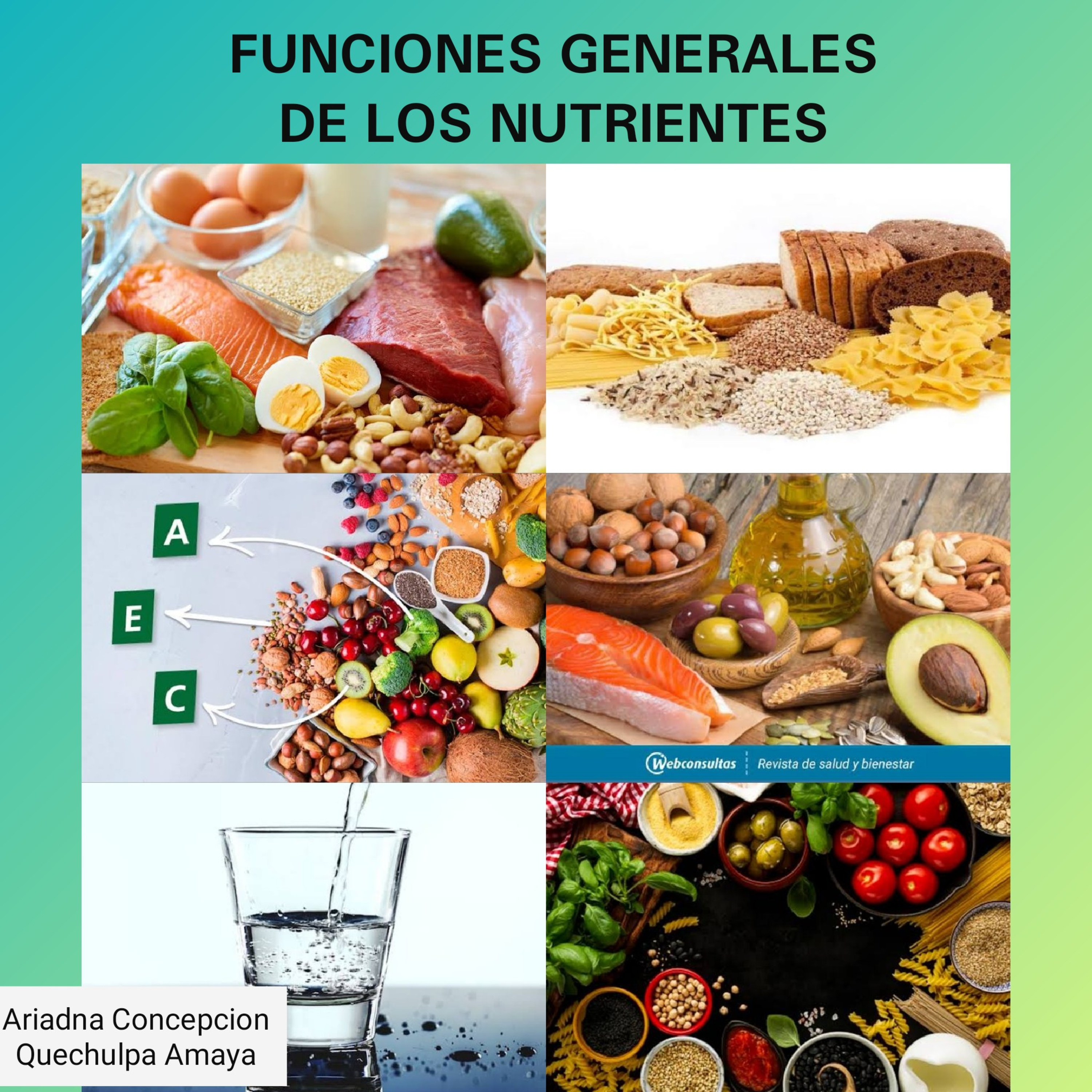 "FUNCIONES GENERALES DE LOS NUTRIENTES" (Ariadna C. Q. A) FACTORES QUE ...