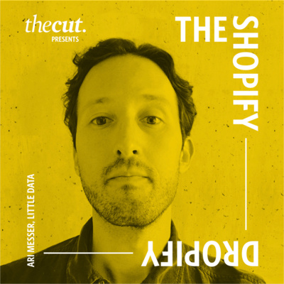 Episode 42 - Shopify - Expert Interview - Ari Messer from Littledata on ...