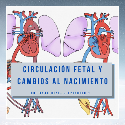 Circulación fetal y sus cambios al nacimiento by Dr. Ayax--Medicina ...