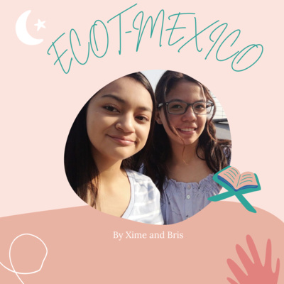 Eco-T México by School