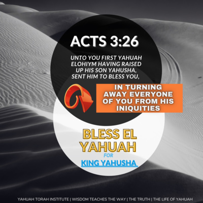 YAHUAH TORAH INSTITUTE | WISDOM TEACHES THE WAY | THE TRUTH | THE LIFE ...