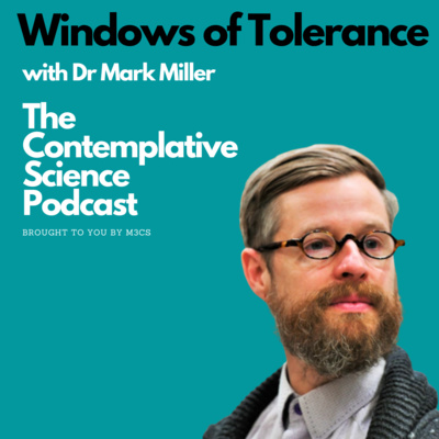 Windows of Tolerance: the science of how to practice gently by The ...