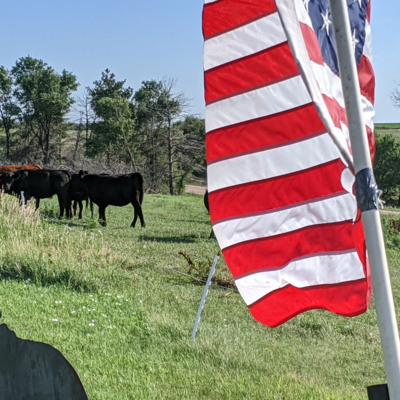 Rural Route Radio Dec 6, 2022 We actually talk about cows for half of ...