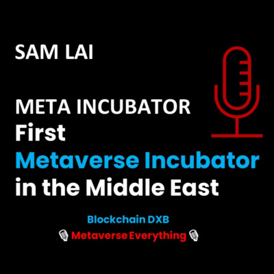 Dubai Metaverse Strategy : ⚡ Sam Lai from Meta Incubator⚡ MetaIncubator is First Metaverse ...
