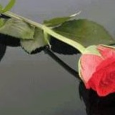 Sapna Mehta by Sapna Mehta