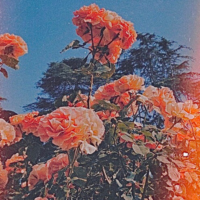 ASMR with Kate: relaxing triggers for sleep 🌱🌸 by starfruit asmr