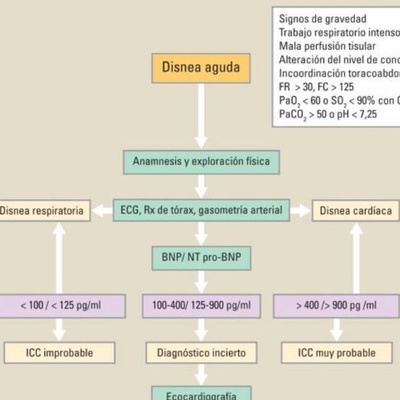 Disnea Aguda y Síndrome de Insuficiencia Respiratoria Aguda. by ...