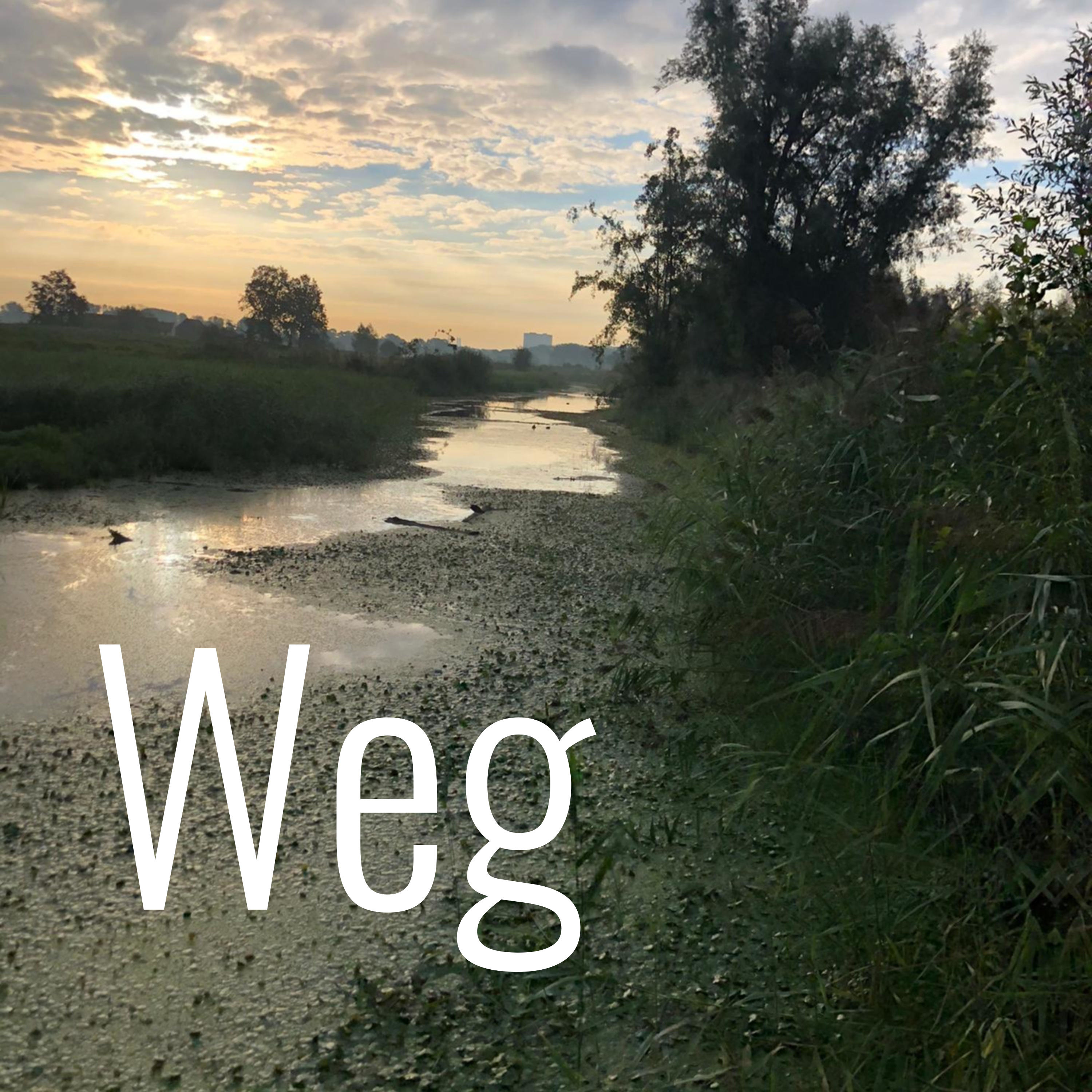 Weg Podcast | Alle afleveringen - Luister online - RadioviaInternet.be