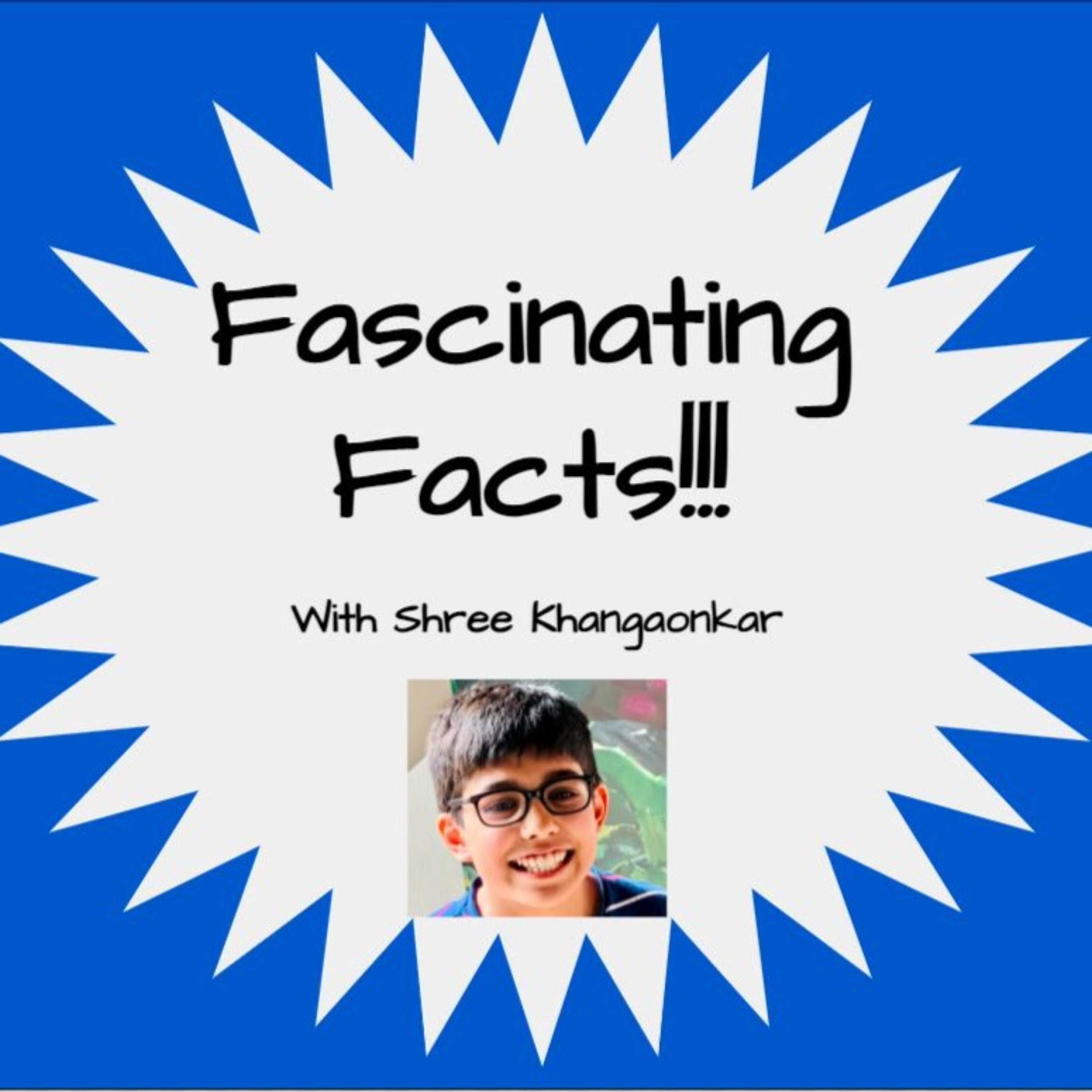 Facts With Each Letter Of The Alphabet Part 1 Fascinating Facts Ya Facts With Each Letter Of The Alphabet Part 1 Fascinating Facts Ya