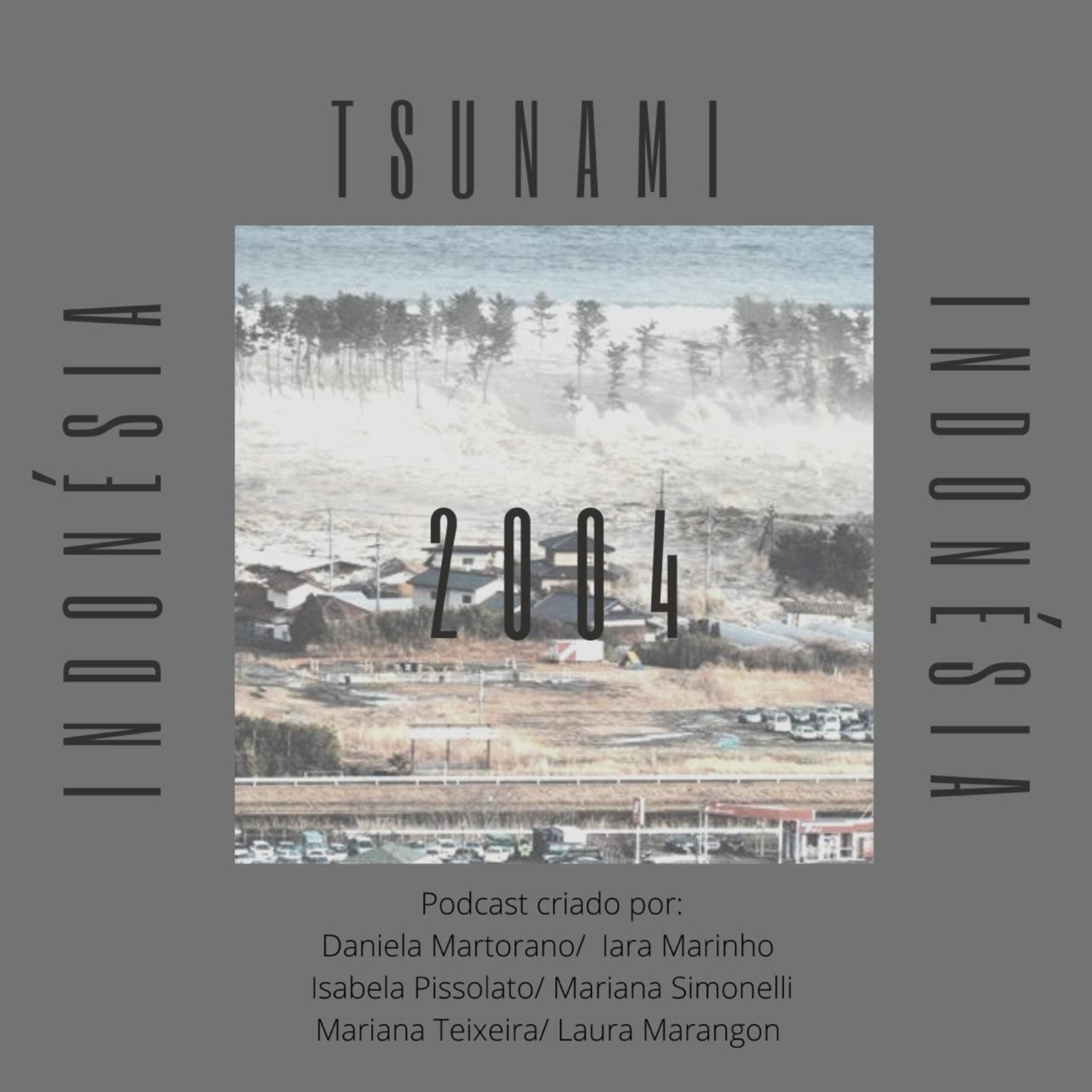 Tsunami na Indonésia em 2004