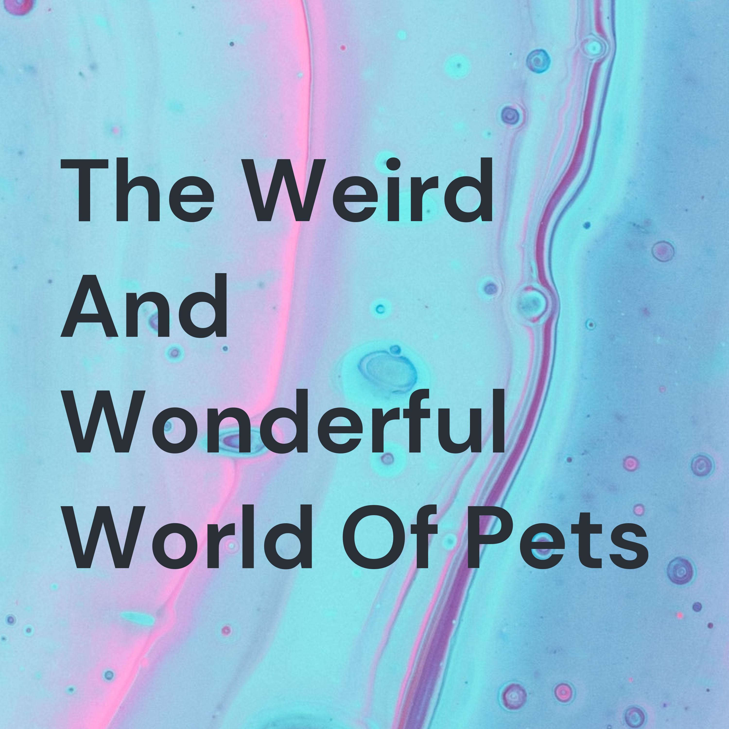 The weird and wonderful world of pets – The Weird And Wonderful World ...
