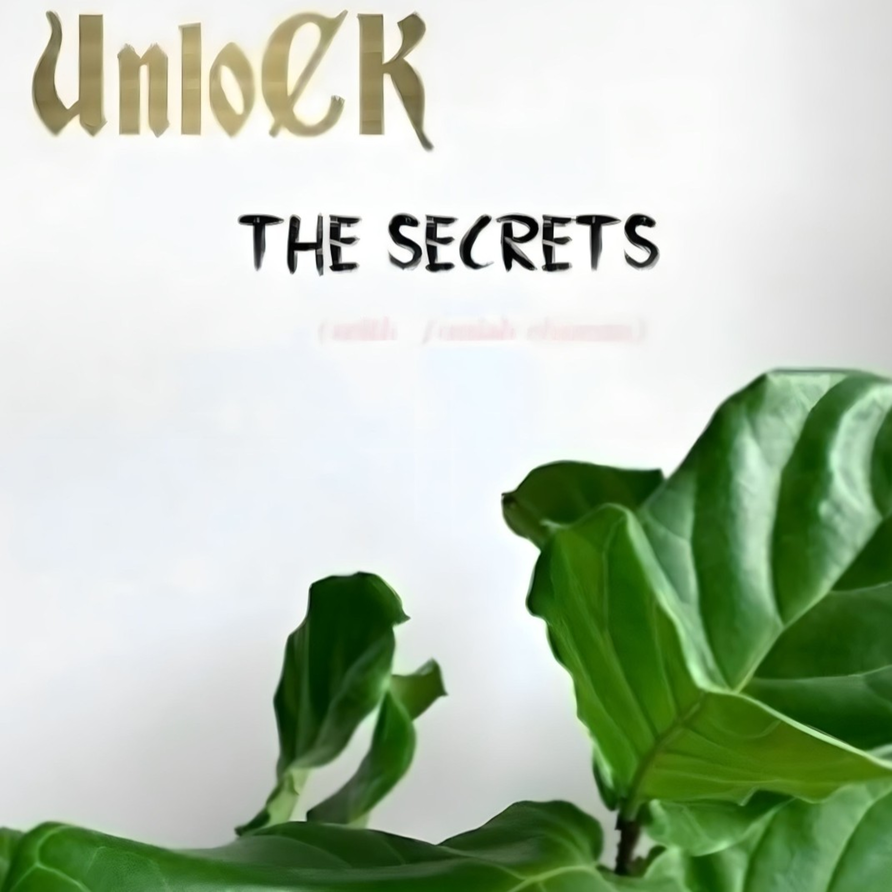 Unlock The Secrets Podcast Transcripts