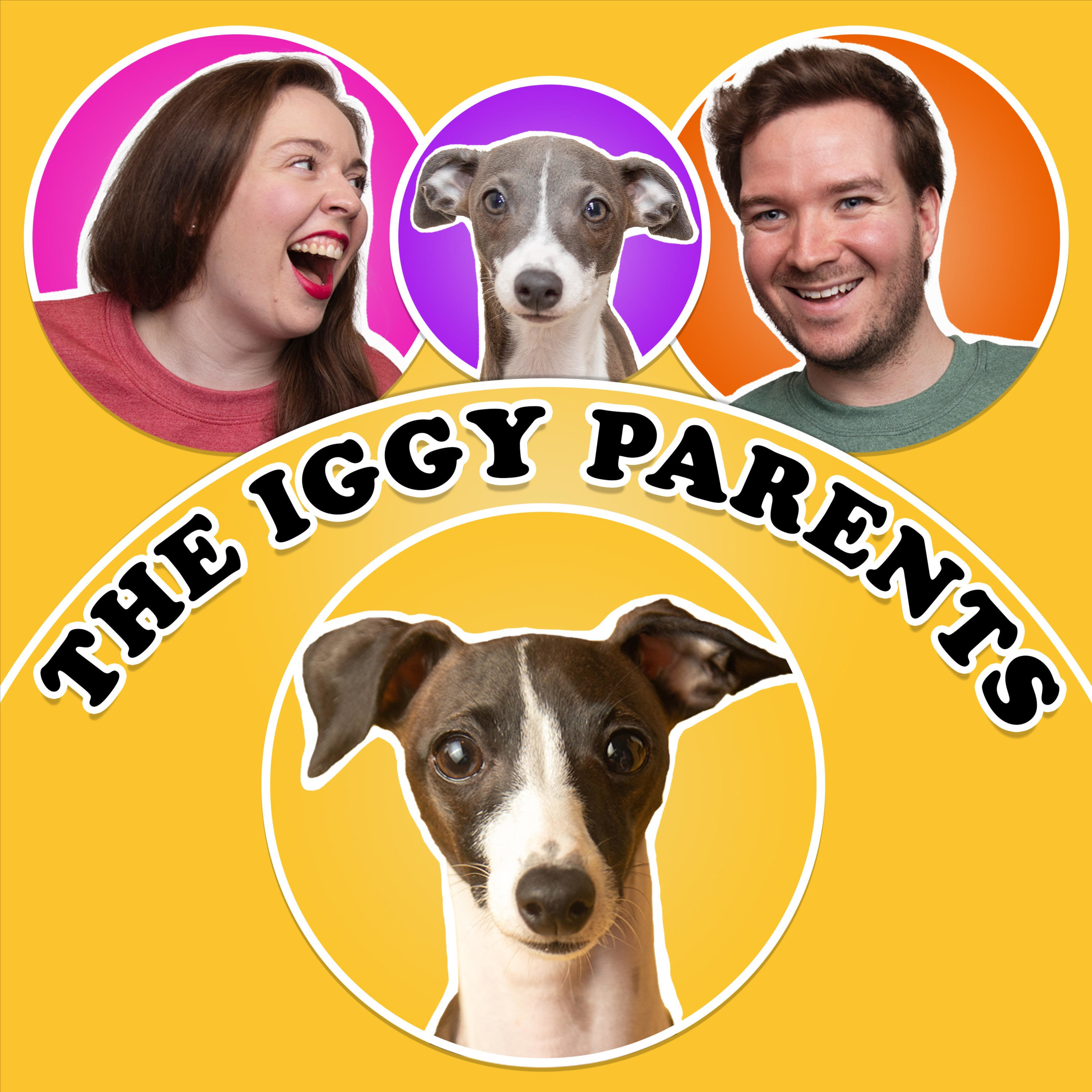 Episode 22 All About Podcasting With With A Dog Podcast The Iggy Episode 22 All About Podcasting With With A Dog Podcast The Iggy