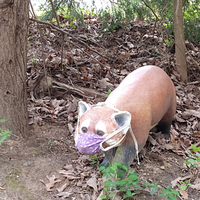 The Dean-Cast Experiment • A podcast on Spotify for Creators