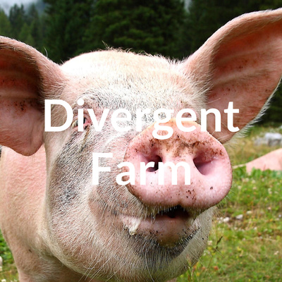 Divergent Farm • A podcast on Spotify for Creators