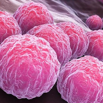 CLAMIDIA • A podcast on Spotify for Podcasters