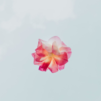 Maddi Jones • A podcast on Spotify for Creators