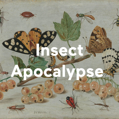 Insect Apocalypse • A podcast on Spotify for Creators