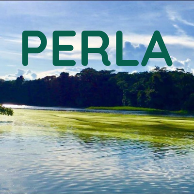 PERLA • A podcast on Spotify for Creators