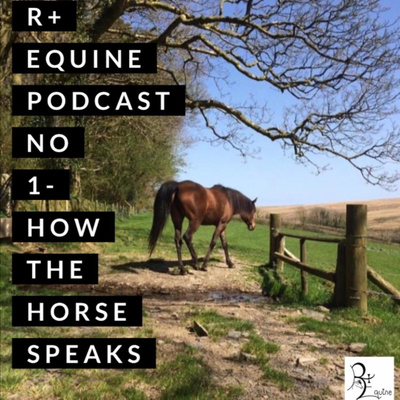 R+ Equine-How the horse speaks • A podcast on Spotify for Creators