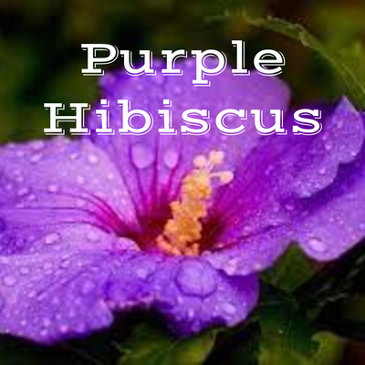 Purple Hibiscus: Chapter 10 • A podcast on Spotify for Podcasters