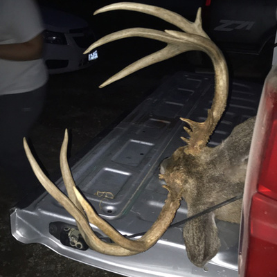 Real Life Deer Hunting • A podcast on Spotify for Creators