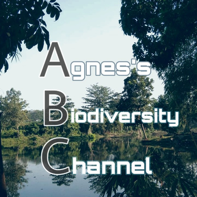 ABC (Agnes's Biodiversity Channel) • A podcast on Spotify for Creators