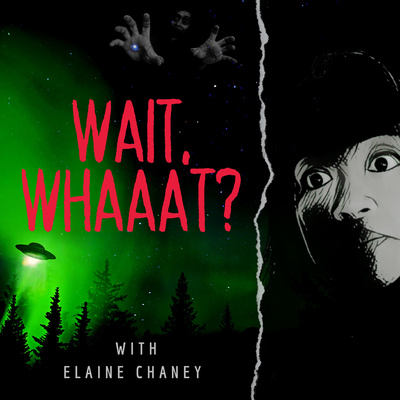 Wait,Whaaat? • A podcast on Spotify for Creators
