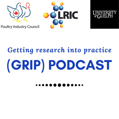 Getting Research Into Practice (GRIP) • A podcast on Spotify for Creators