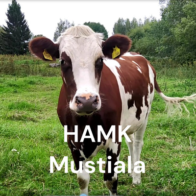 HAMK Mustiala - ruuantuotannon äärellä • A podcast on Anchor