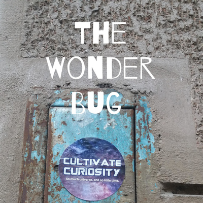 The Wonder Bug • A podcast on Spotify for Podcasters