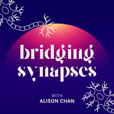 Secular Buddhism: An Interview with Noah Rasheta by Bridging Synapses